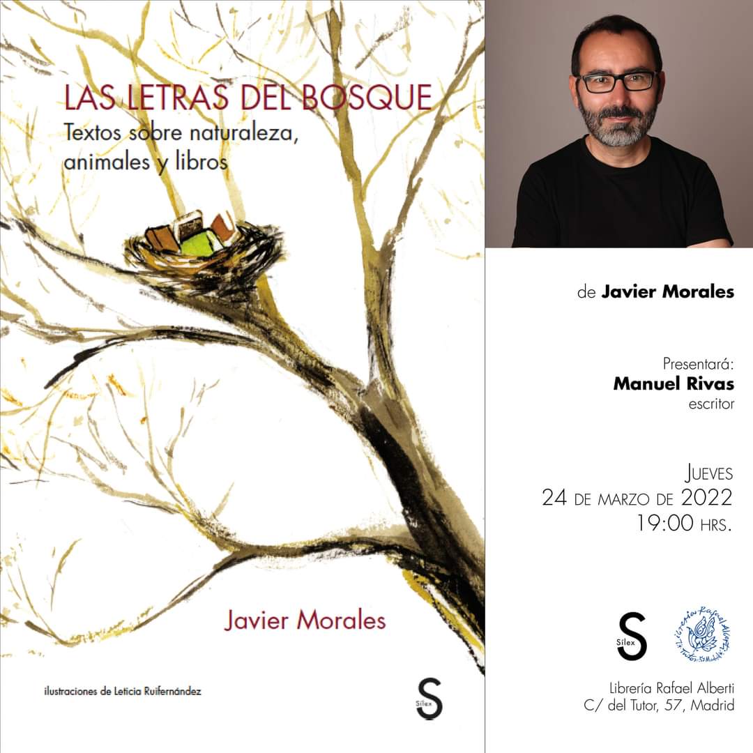 Librería Rafael Alberti: JAVIER MORALES, Las letras del bosque (Sílex ... Librería Rafael Alberti: JAVIER MORALES, Las letras del bosque (Sílex ...